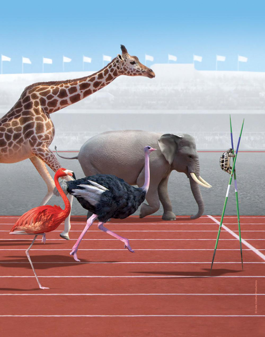 Xilam Animation Secures New Deals in Southern Europe - The Toy Book