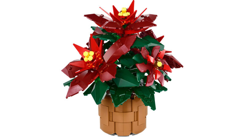LEGO ICONS BOTANICAL COLLECTION: POINSETTIA - The Toy Book