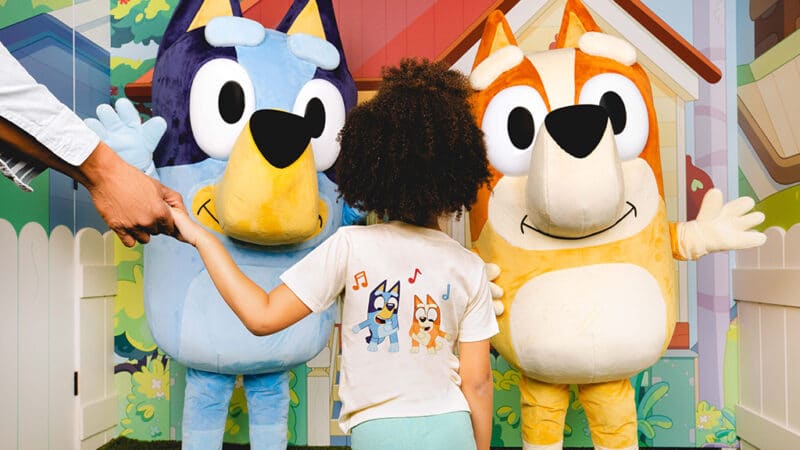 CAMP Brings New Retail Location and BBC's Bluey Experience to The ...