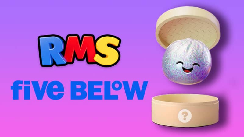 RMS USA, Five Below Announce Toy Fair Dumpling Giveaway Amidst Viral ...