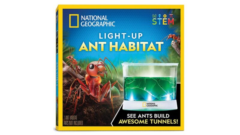 Pop Quiz with Wendy Smolen - The Toy Book