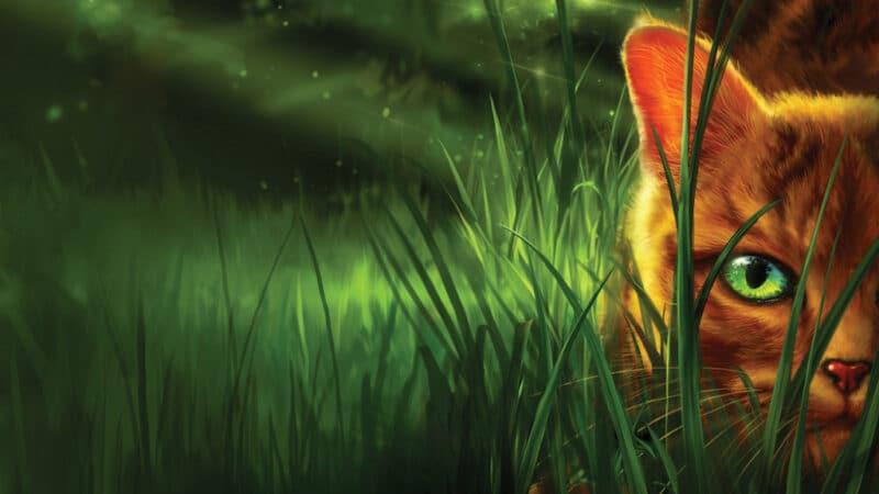 Property Profile: The Great Journey of Warrior Cats - The Toy Book