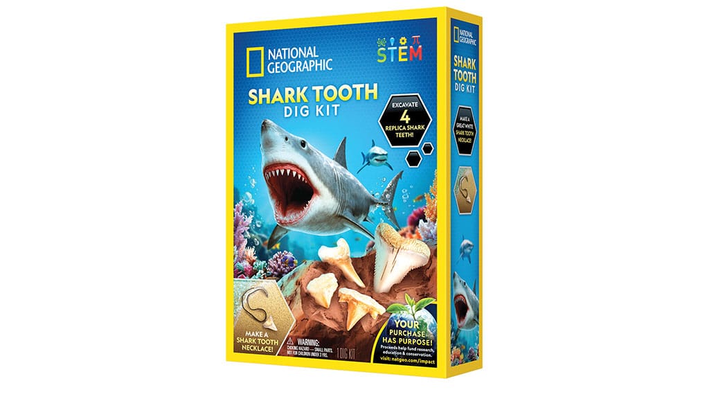 NATIONAL GEOGRAPHIC SHARK TOOTH DIG KIT - The Toy Book