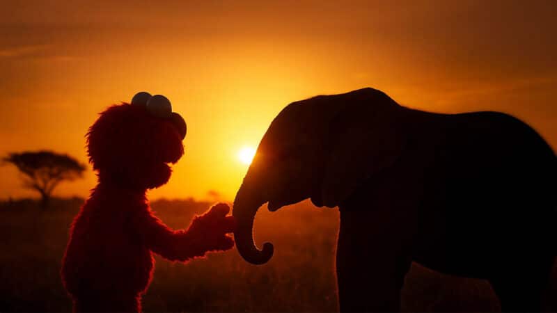 PBS Partners with Sesame Workshop for New Episode of ‘Nature’ - The Toy ...