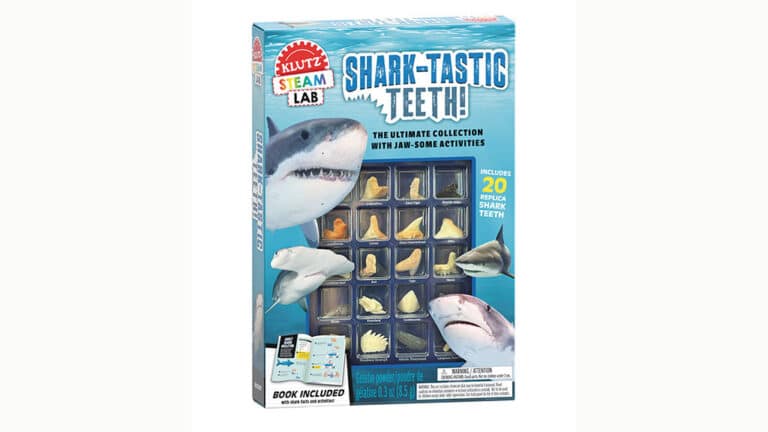 STEAM LAB: SHARK-TASTIC TEETH! - The Toy Book